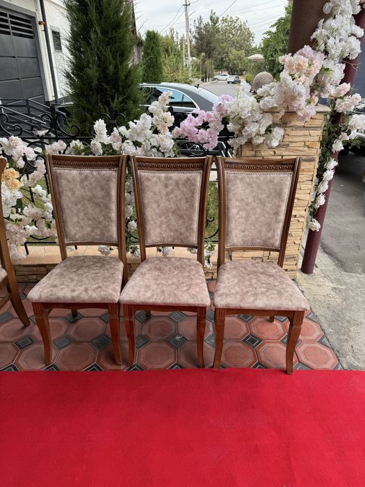 Прокат стол стул, prokat stol stul, prakat stol stul. - Прокат товаров для мероприятий Ташкент ...