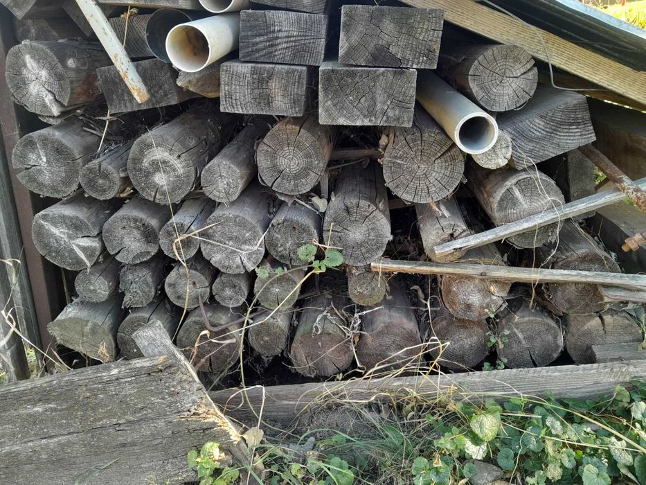 Capriori de vanzare Ghindaoani • OLX.ro