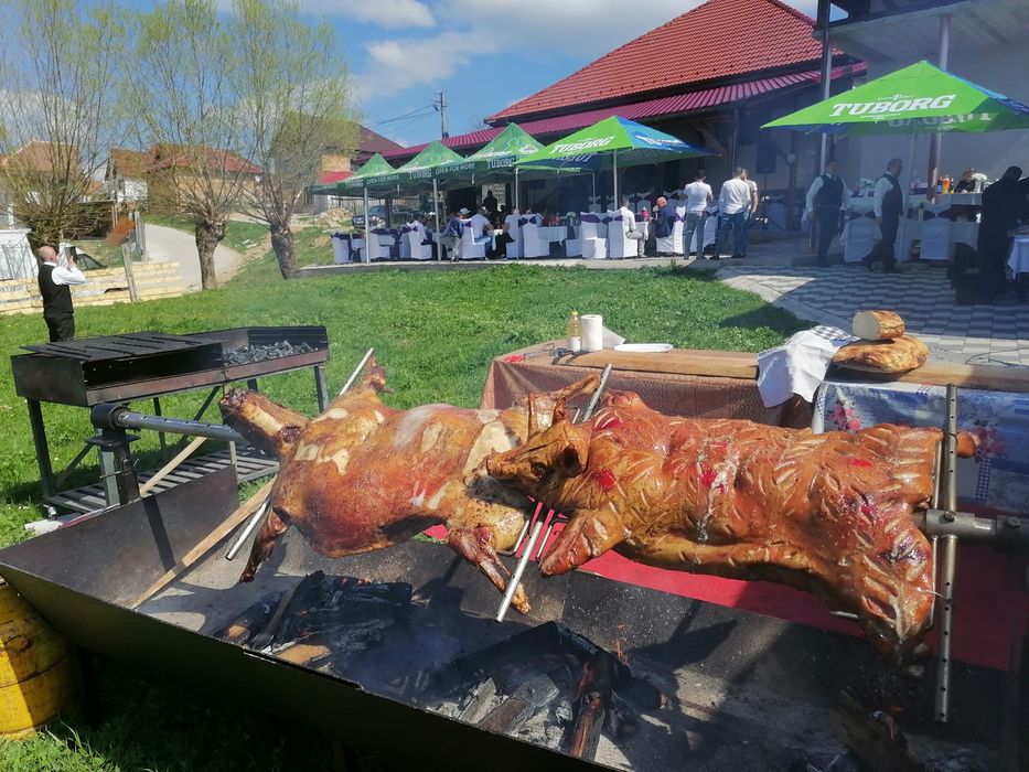 Bunatati la protap Bran • OLX.ro