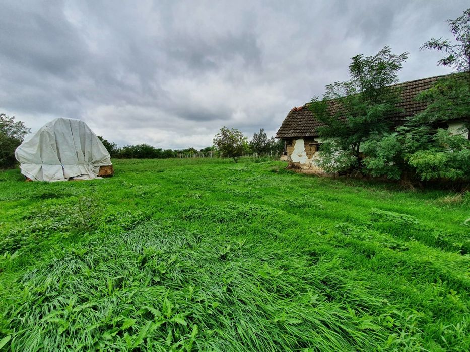 Vând casă cu grădină și construcții aferente în Com. Șimand, Jud. Arad ...