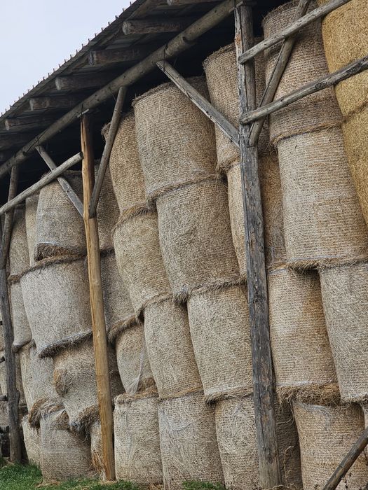 Baloti de lucerna Jucu de Sus • OLX.ro