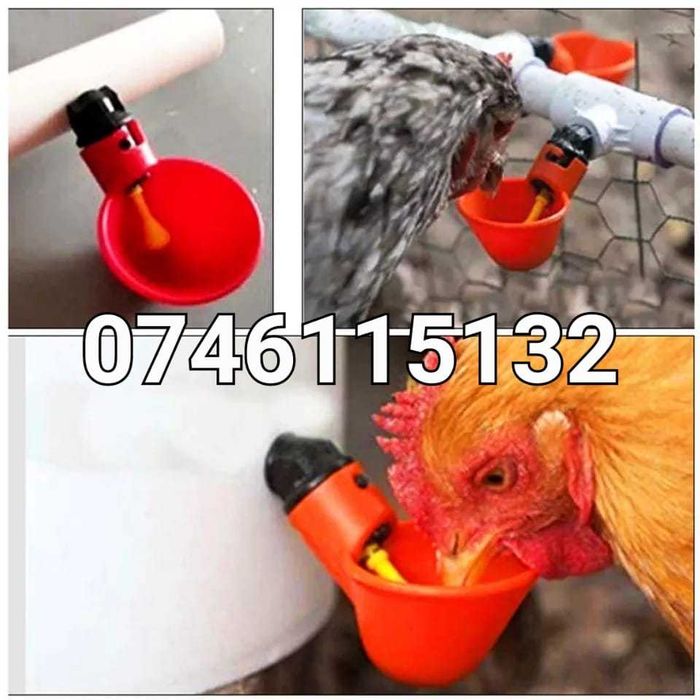 Gaini prepelițe porumbei rate gâște fazan pui- ADAPATORI AUTOMATE - A6 ...