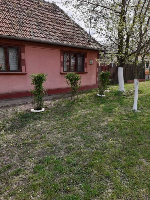 Casa de vanzare in Cornesti jud Timis Ortisoara • OLX.ro