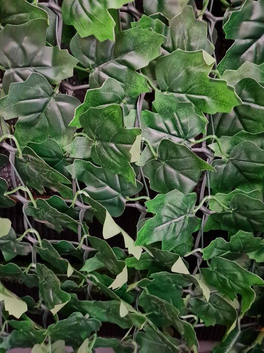 Decor VV 5001 Ivy -"gard viu''artificial,sintetic -role 1mx3m Cluj ...