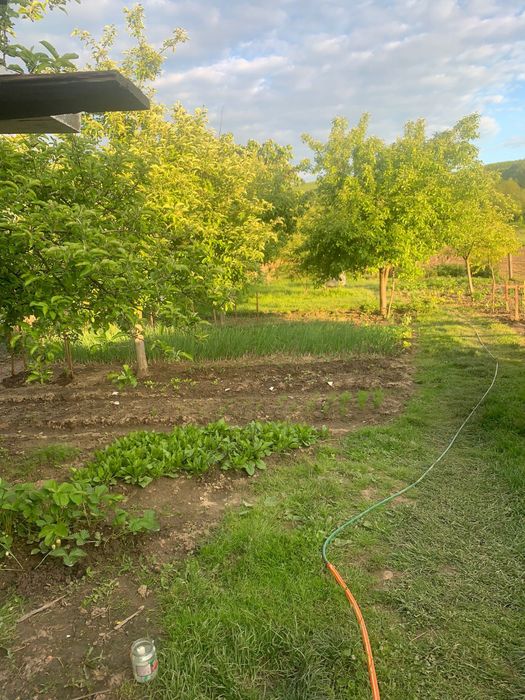 Vand casa in apropiere de Dej Dej • OLX.ro