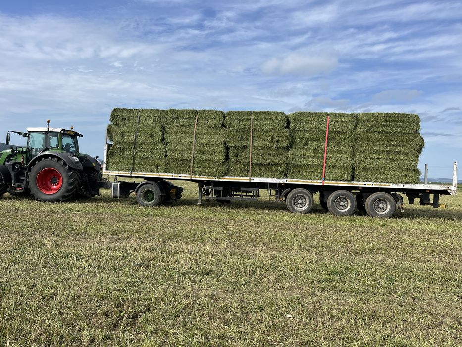 Baloti lucerna mari Codlea • OLX.ro