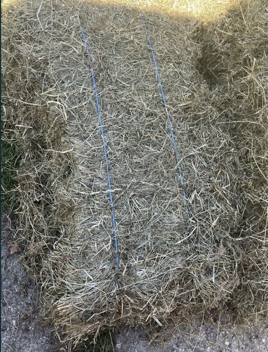 Fan si otava de calitate( baloti sunt foarte mari si grei) Boldesti ...