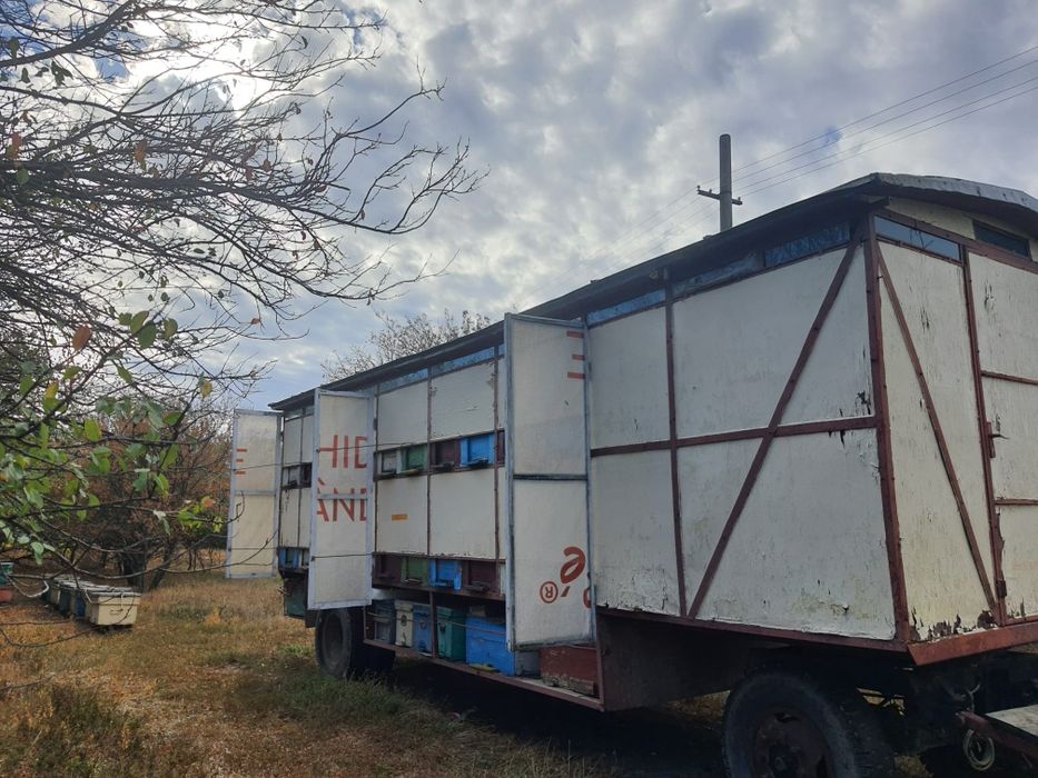 Pavilion apicol inscris in circulatie Focsani • OLX.ro