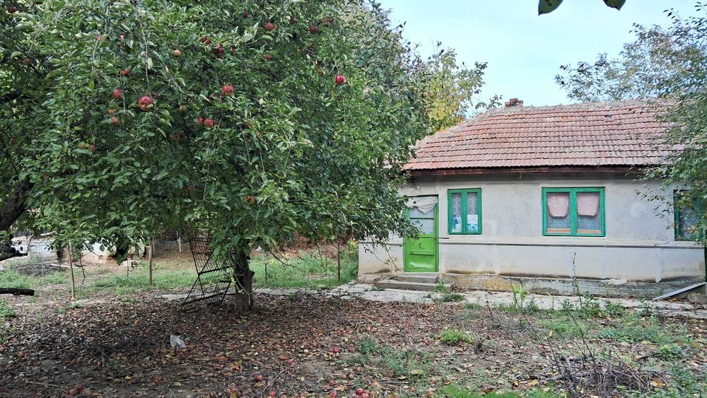 Vând casă modestă Gruiu • OLX.ro