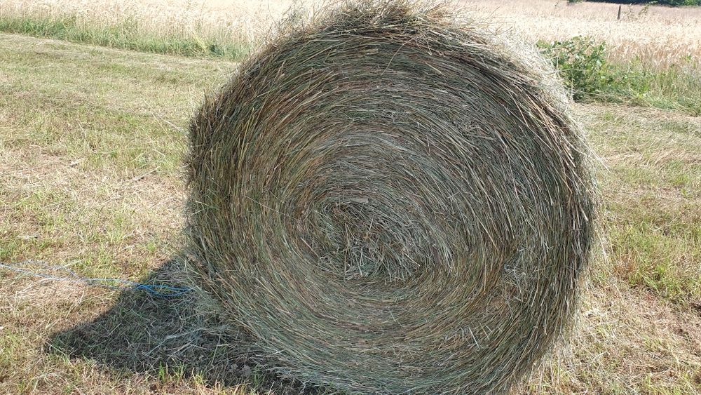 Baloti de fân Bumbesti-Jiu • OLX.ro