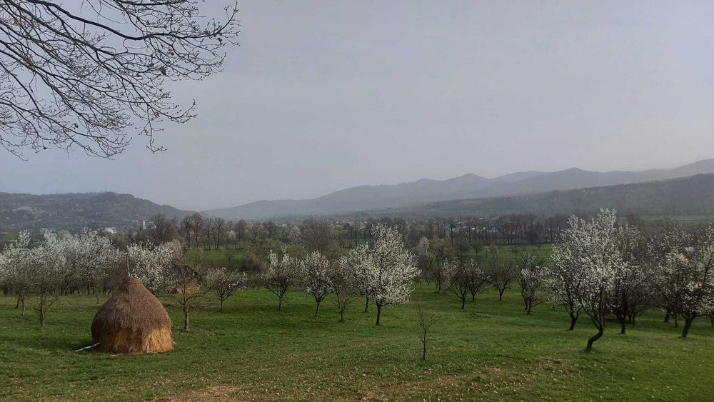 Ocazie investitie ! Cabana cu teren de 47 ari in Berbesti, Maramures ...