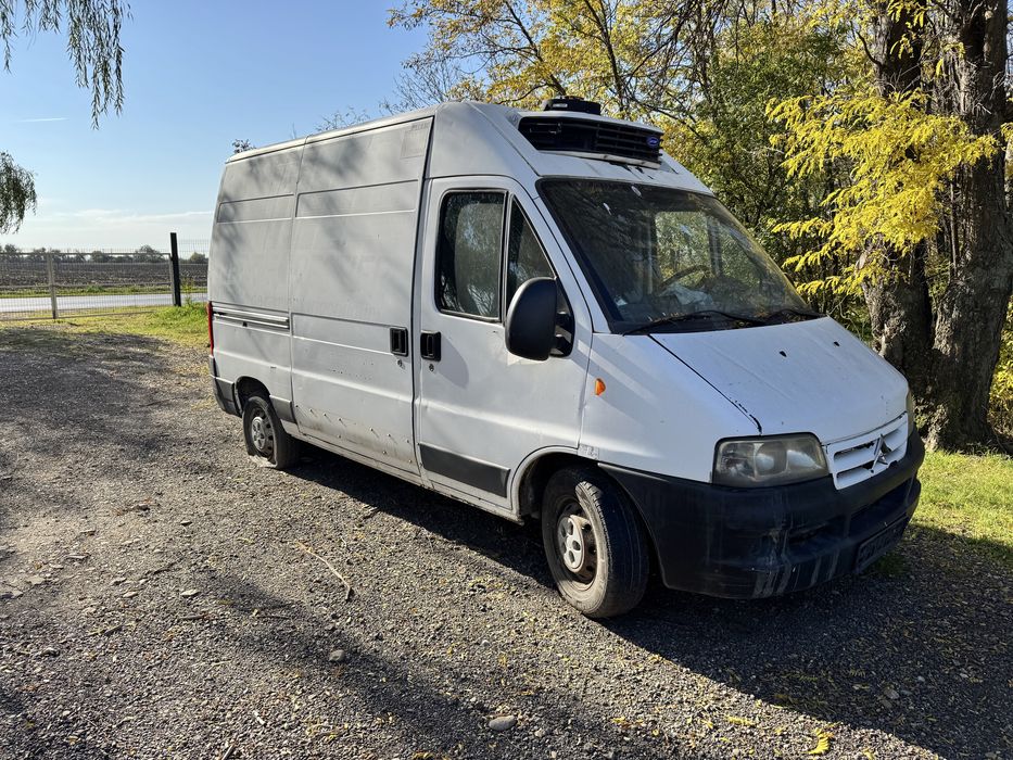 Duba frig citeoen jumper se vinde intreaga Buzau • OLX.ro