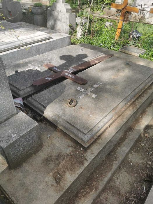 Vand loc de veci in Cimitirul Bellu- langa Aleea Artistilor Bucuresti ...