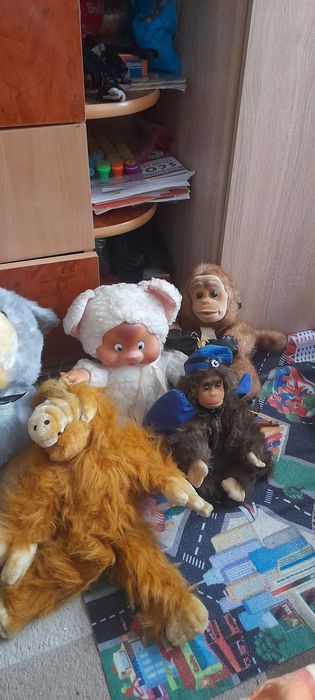 Plusuri mari maimute Bucuresti Sectorul 5 • OLX.ro