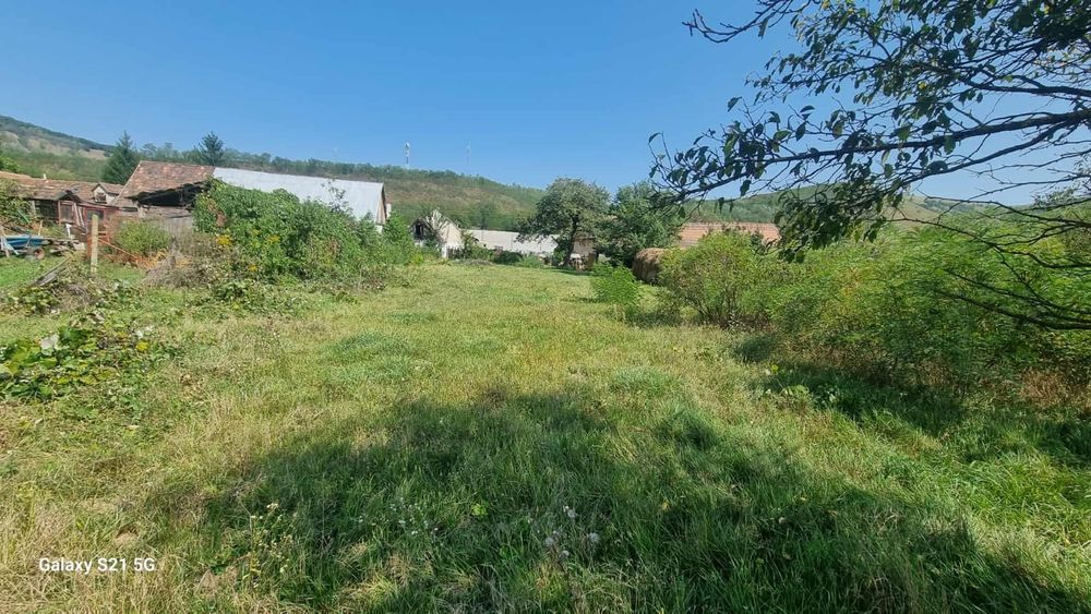 Vând casă cu livada Valea Lunga • OLX.ro