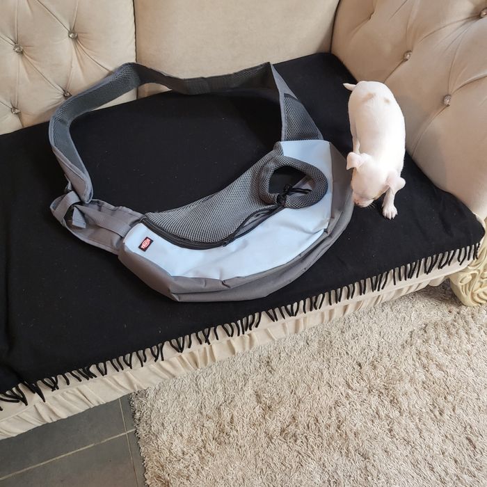 Чанта за малка порода куче нова гр. Русе КТМ • OLX.bg