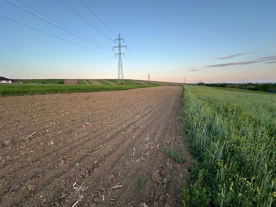 Teren de vânzare 41 ari INTRAVILAN deschidere 15,65 Dealu • OLX.ro