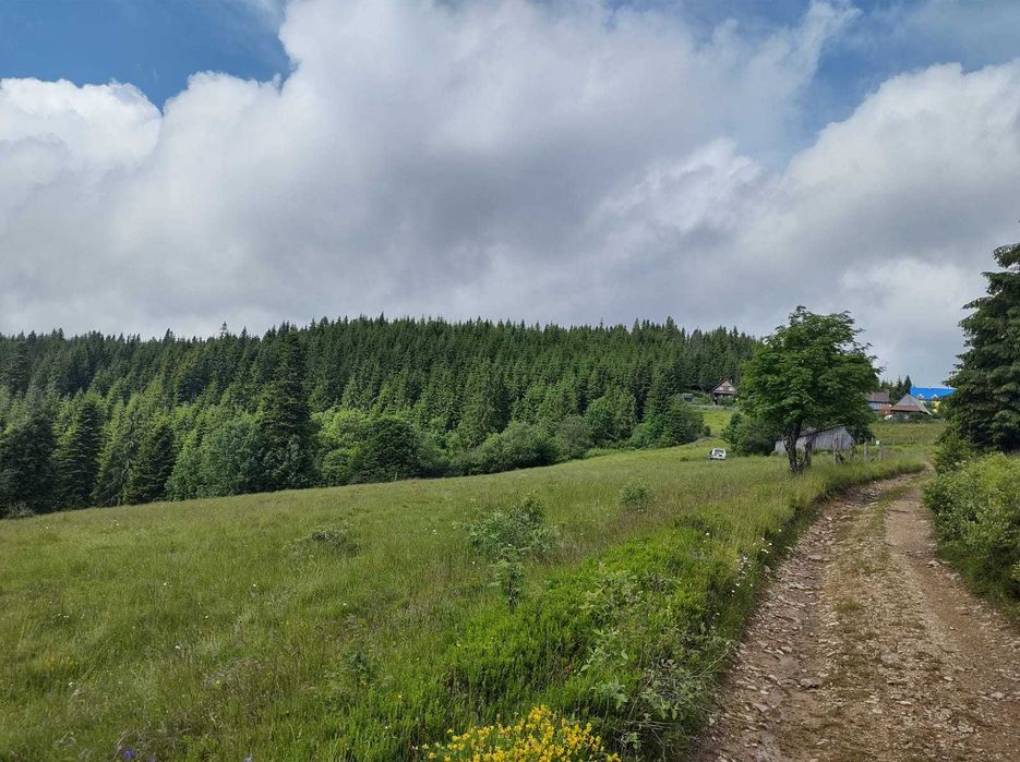 Teren la munte Belis Dealu Botii • OLX.ro