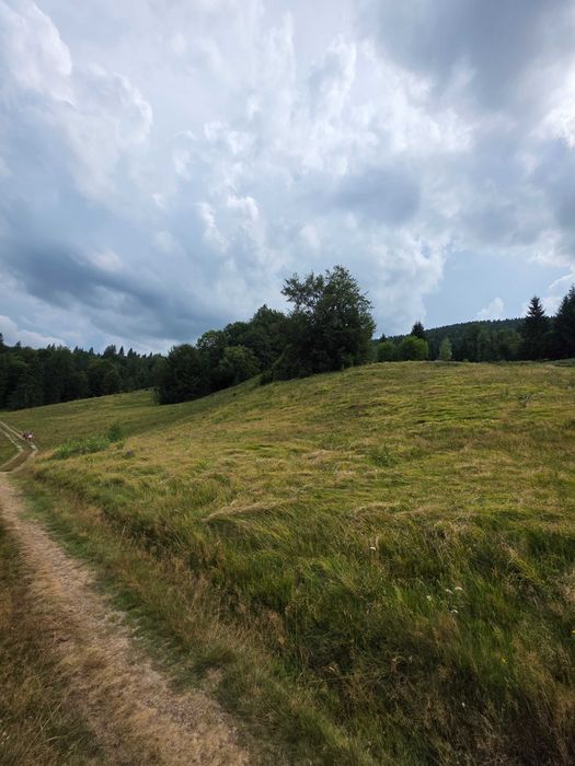 Vânzare teren la munte, Baraj Drăgan-Alunu-Apuseni , de la 9,5 E/mp ...