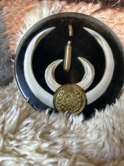 Trofeu mistret rasina epoxidica Vermesti • OLX.ro