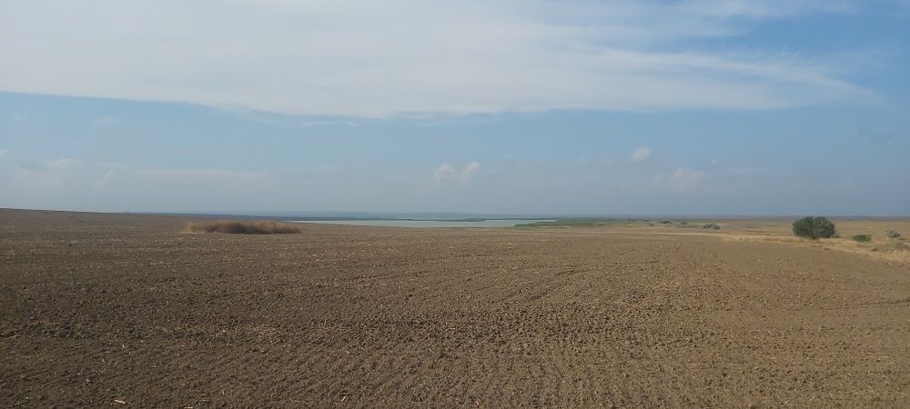 Particular 1 ha teren Nuntasi cu deschidere la lac si in rate. Nuntasi ...