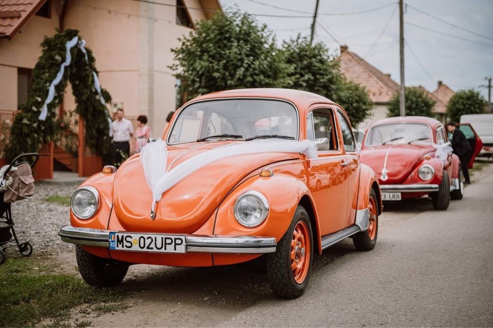 Masina de epoca nunta ,Kafer ,Broscuta Cluj-Napoca • OLX.ro
