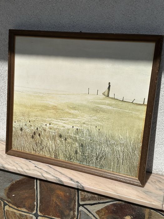 Tablou cu rama de lemn 60x50 Sighetu Marmatiei • OLX.ro