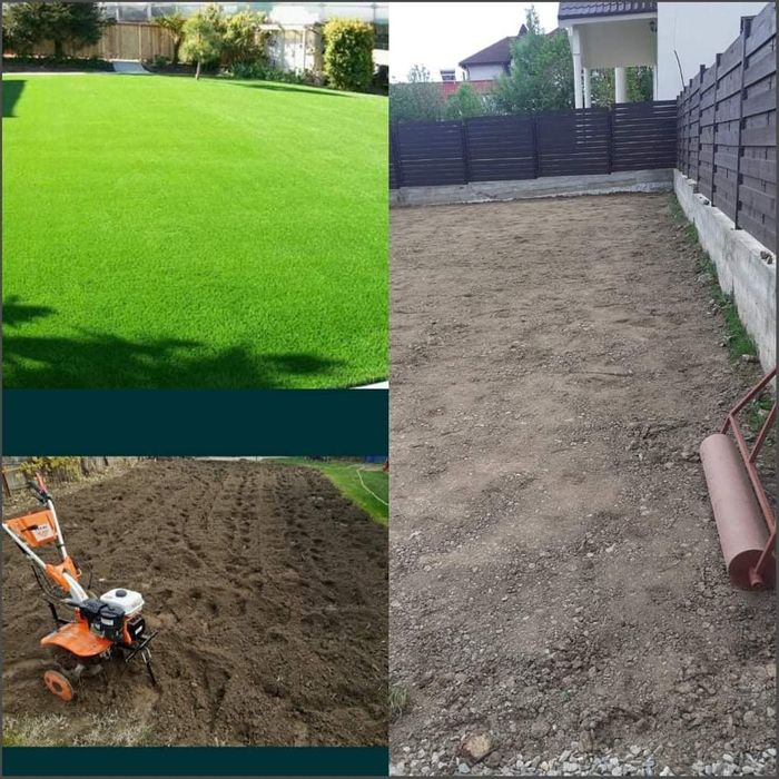 Însămânțare gazon. Amenajare curte și grădină Pitesti • OLX.ro
