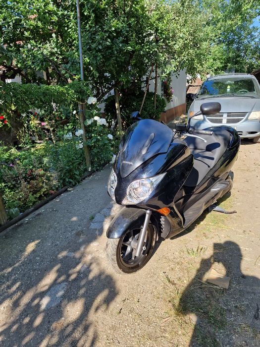 Honda Forza 250 с. Гложене • OLX.bg