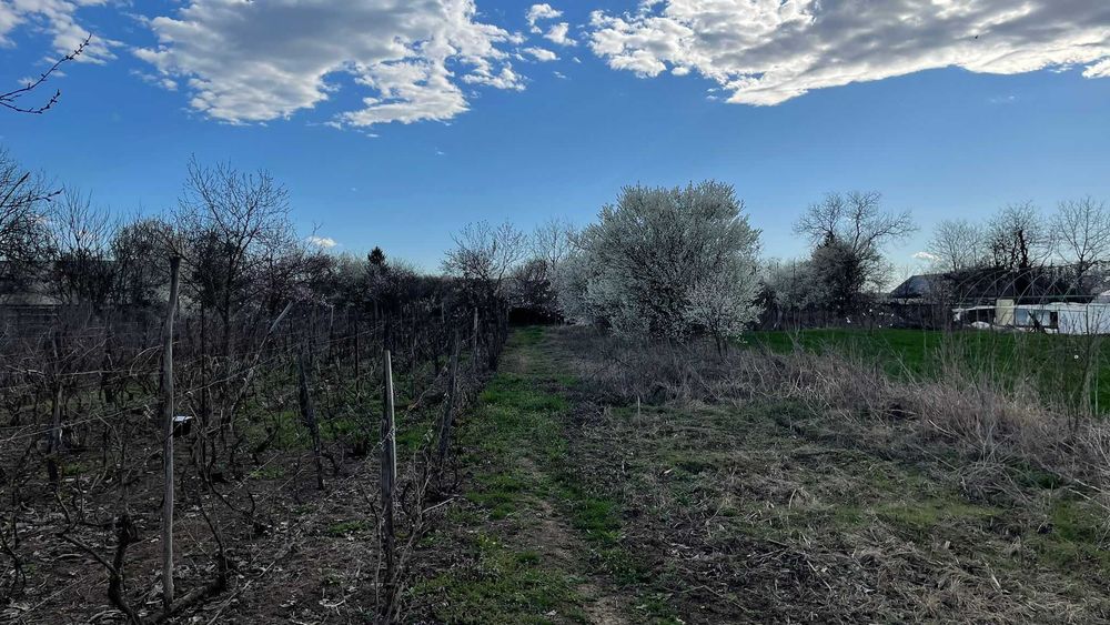 CASA SI TEREN DE VANZARE Lipia-Gruiu- fara intermediari Lipia • OLX.ro