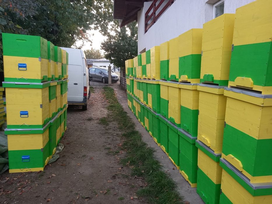 Stupi albine, stupi verticali, stupi orizontali, roinite! Botosani • OLX.ro