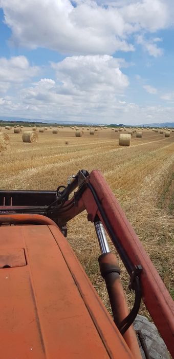 Vând baloti rotunzi de orz Tarlungeni • OLX.ro