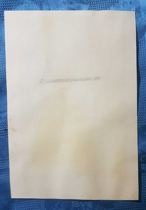 D316-I- Ofiter German Al 3 Lea Reich E. Kissel 1937- Aviator Timisoara ...