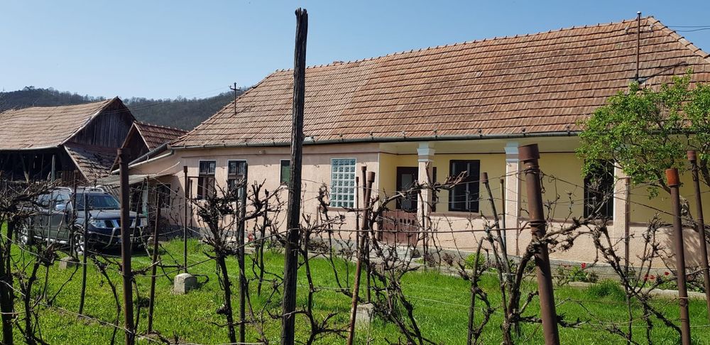 Casa Dileu Nou Targu Mures Ogra Sanpaul Chirileu Sausa Moreni Valea ...