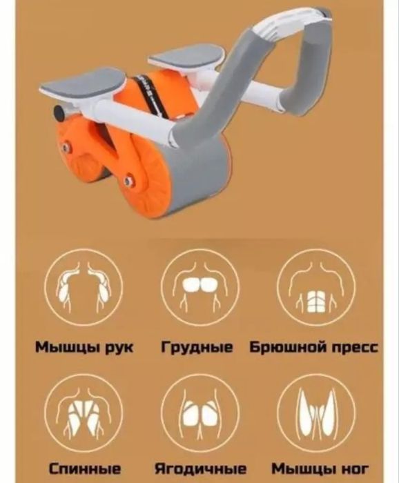 Press rolik sport trinajor dastavka bor O‘zbekiston bo‘ylab: 299 000 ...