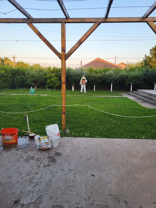 Spatiu comercial si o vila Perisoru • OLX.ro