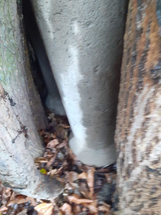 Tub beton pentru podet 3 bucati Suceava • OLX.ro