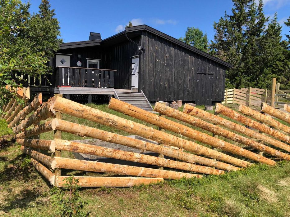 Stalpi din salcam pentru garduri electrice si cherestea Bacainti • OLX.ro