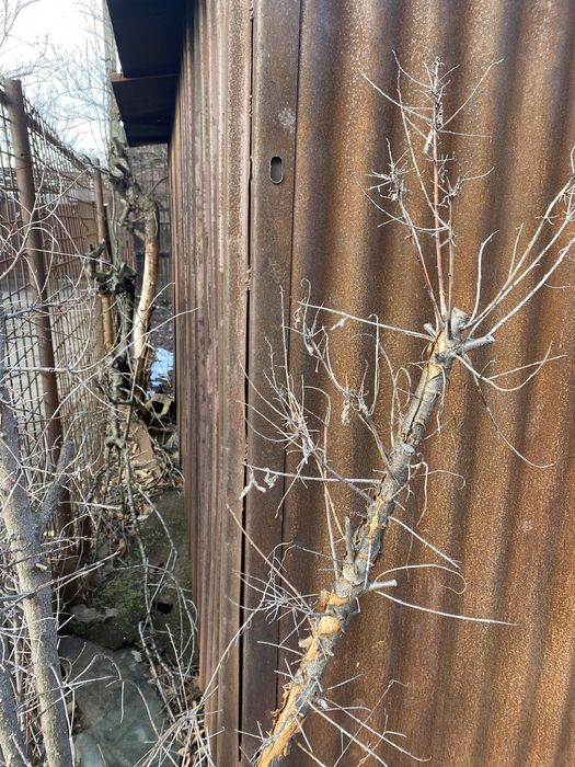 Baraca metalica de vanzare Bucuresti Sectorul 6 • OLX.ro