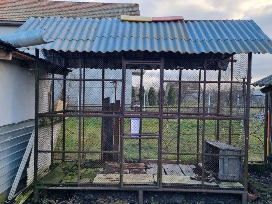 Coser porumb în stare buna Luncani • OLX.ro