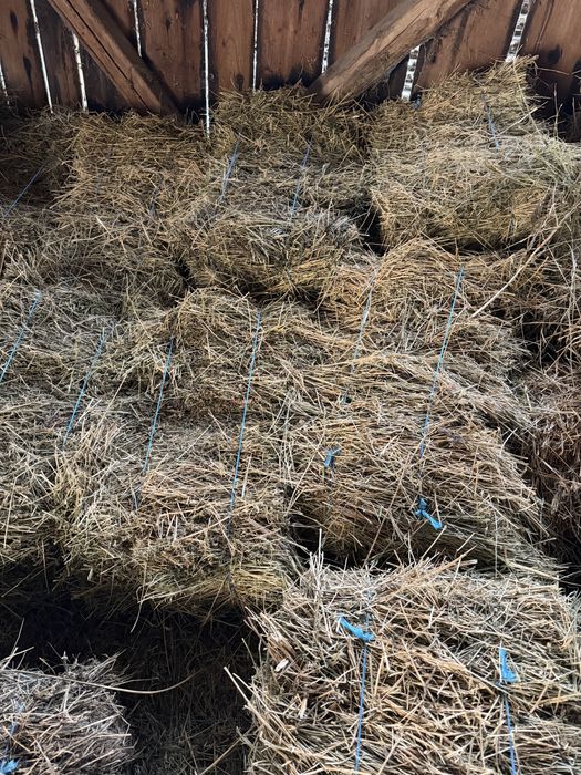 Baloti lucerna de calitate Lunca Calnicului • OLX.ro