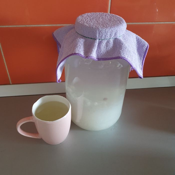 Vând cristale japoneze kefir de apa și ciuperca Kombucha pentru ceai ...