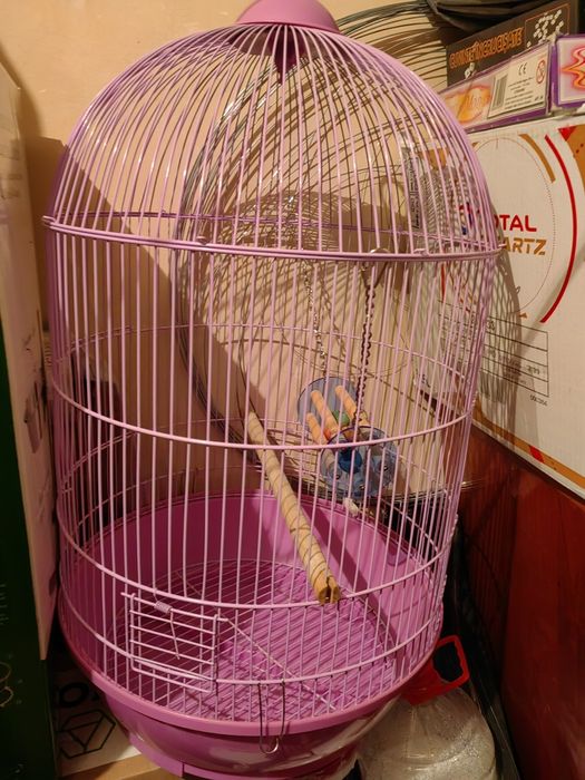 Cușcă papagal, puțin folosita Deva • OLX.ro