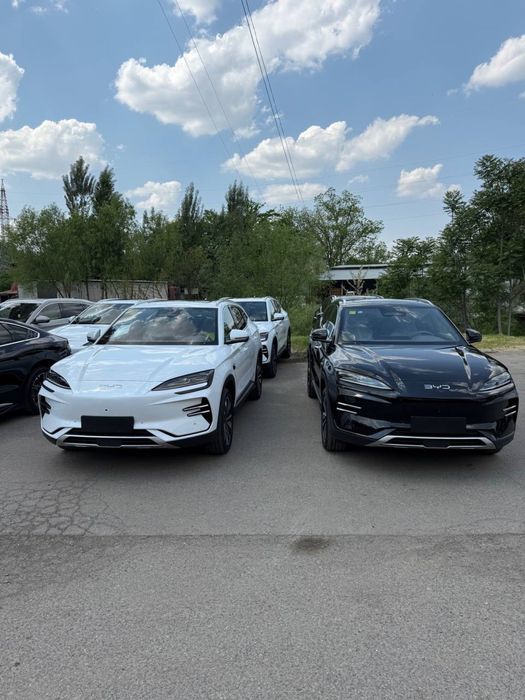 Byd champion smart drive cip tashkent tayyor: 21 500 у.е. - BYD Ташкент на Olx