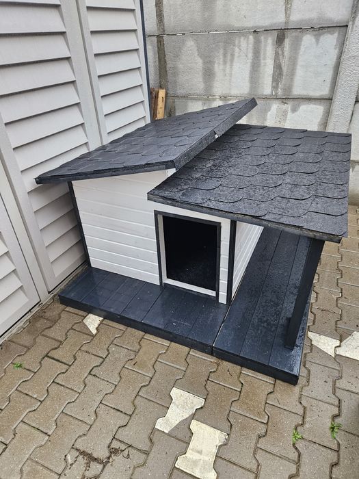 Cusca Caine Mare Bucuresti Sectorul 5 • OLX.ro