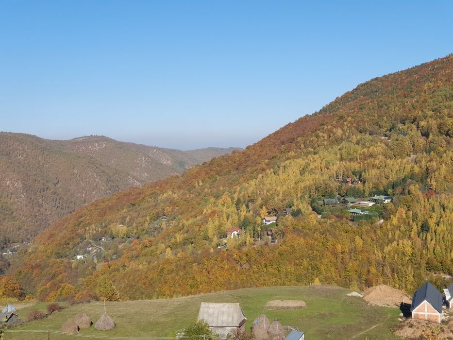 Vând teren intravilan în com Gilau sat Paltinei Muntele Rece • OLX.ro
