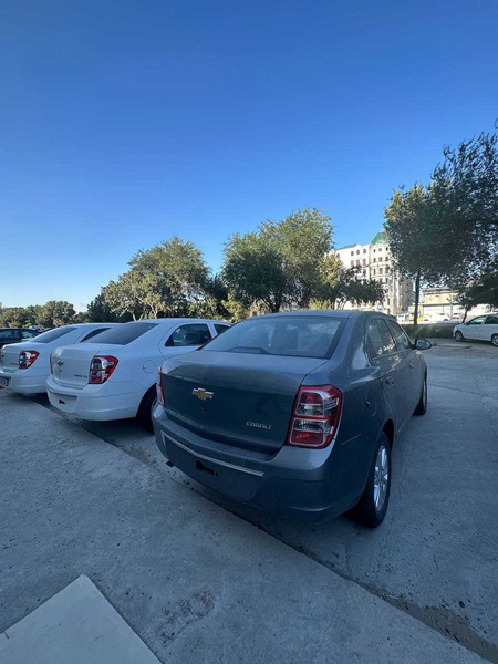 Cobalt a/t arenda s vkup 2024