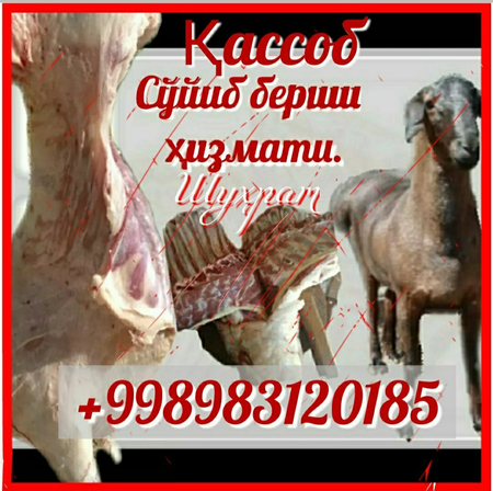 Қассоб  QASSOB xizmati.