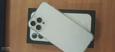 iPhone 13 ProMax 256GB