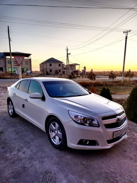 Malibu radnoy 100 toza
